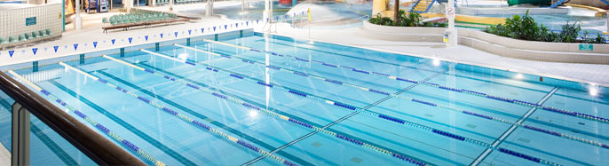 Total Immersion Swimming (TI 수영)